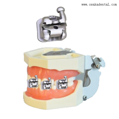 Dental Orthodontic Bracket Self-lock Bracket - Buy dental orthodontist ...